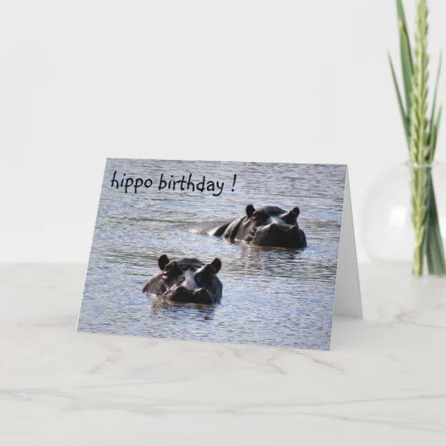 hippo birthday card | Zazzle