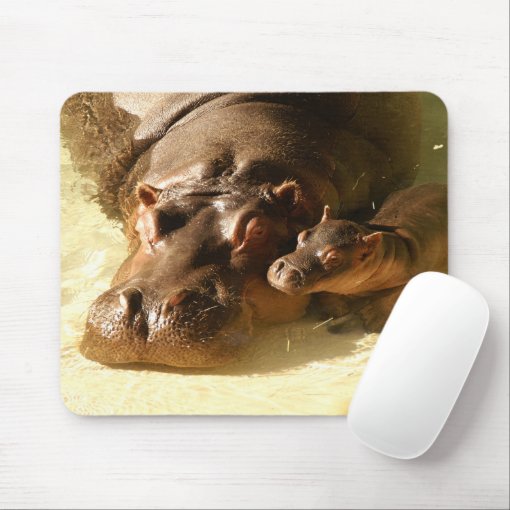 hippo mousepad | Zazzle
