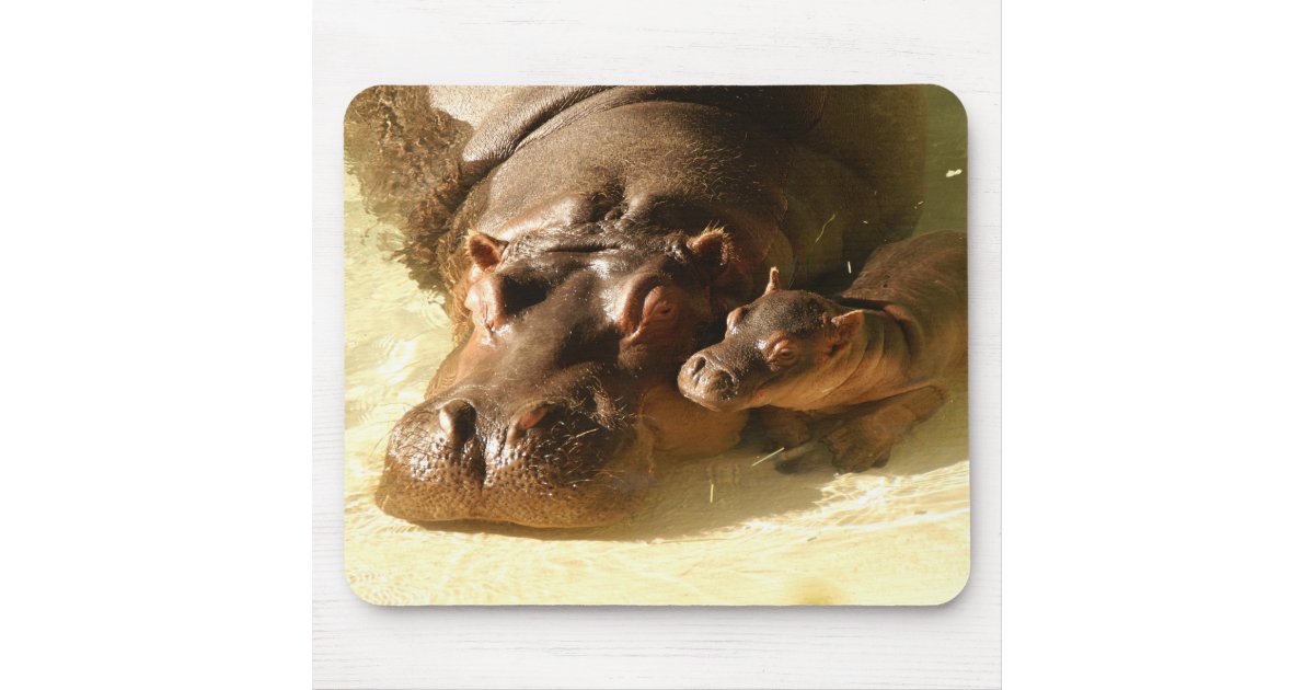 hippo mousepad | Zazzle