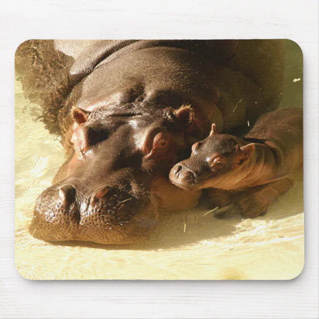 hippo mousepad | Zazzle