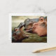 HIPPO POSTCARD | Zazzle