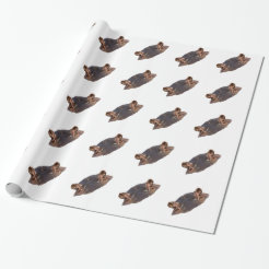 Hippo Gifts on Zazzle