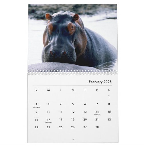 Hippopotamus Wall Calendar | Zazzle