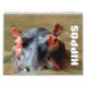 Hippopotamus Wall Calendar | Zazzle