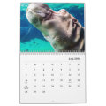Hippopotamus Wall Calendar | Zazzle