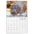Hippopotamus Wall Calendar | Zazzle