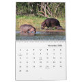 Hippopotamus Wall Calendar | Zazzle