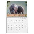 Hippopotamus Wall Calendar | Zazzle