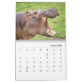 Hippopotamus Wall Calendar | Zazzle