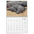 Hippopotamus Wall Calendar | Zazzle