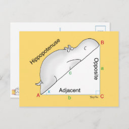 HIPPOPOTENUSE postcard by Sandra Boynton | Zazzle