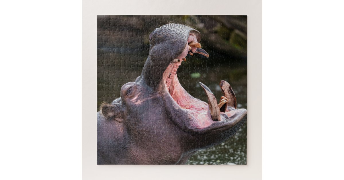 Hippo's Massive Jaws Jigsaw Puzzle | Zazzle