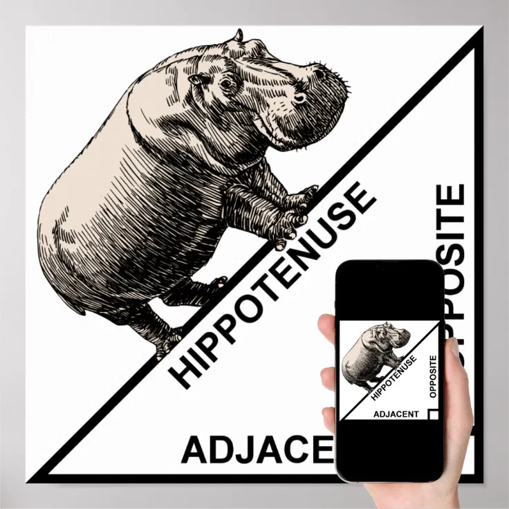 Hippotenuse Hypotenuse Funny Math Geometry Poster | Zazzle