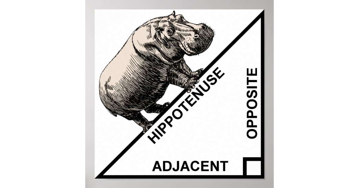 Hippotenuse Hypotenuse Funny Math Geometry Poster | Zazzle
