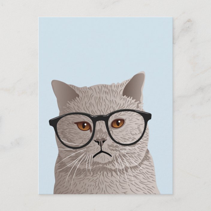 Hipster British Shorthair Cat Postcard | Zazzle.com