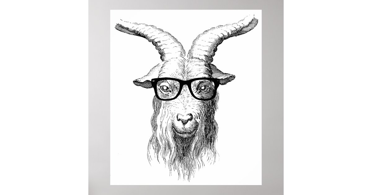 Hipster Goat Poster | Zazzle