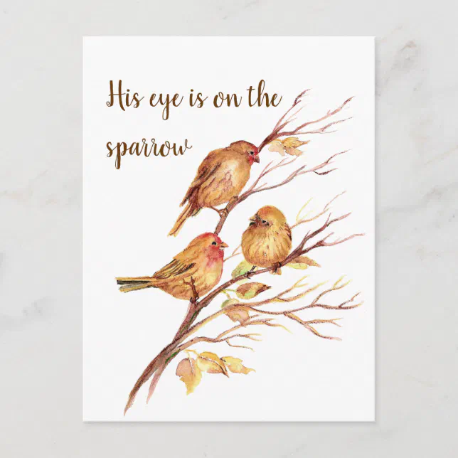 His eye is on the Sparrow, Inspiration Bird Quote Postcard | Zazzle