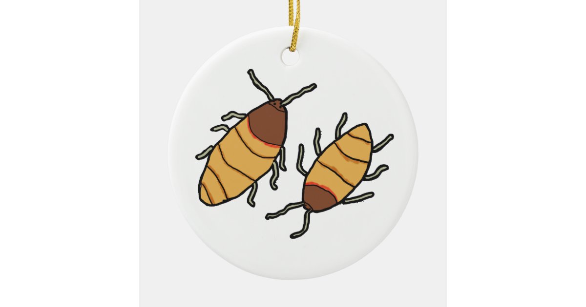 Hissing Cockroach Ceramic Ornament | Zazzle
