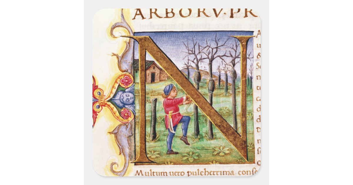 Historiated Initial 'N' Square Sticker | Zazzle