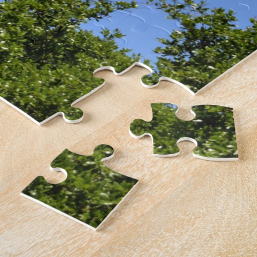 Historic St. Augustine, Florida Lighthouse Jigsaw Puzzle | Zazzle