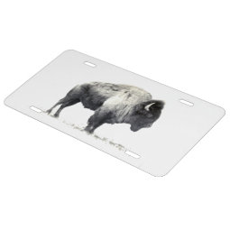 Historical Photograph of American Bison License Plate | Zazzle