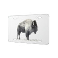 Historical Photograph of American Bison License Plate | Zazzle