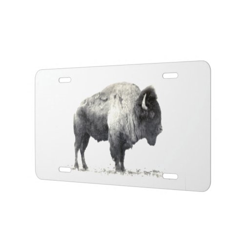 Historical Photograph of American Bison License Plate | Zazzle