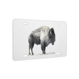 Historical Photograph of American Bison License Plate | Zazzle