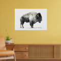 Historical Photograph of American Bison Poster | Zazzle