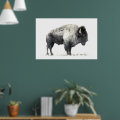 Historical Photograph of American Bison Poster | Zazzle