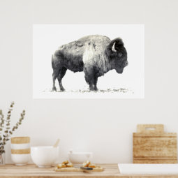 Historical Photograph of American Bison Poster | Zazzle