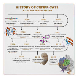 History of CRISPR genome editing timeline Poster | Zazzle