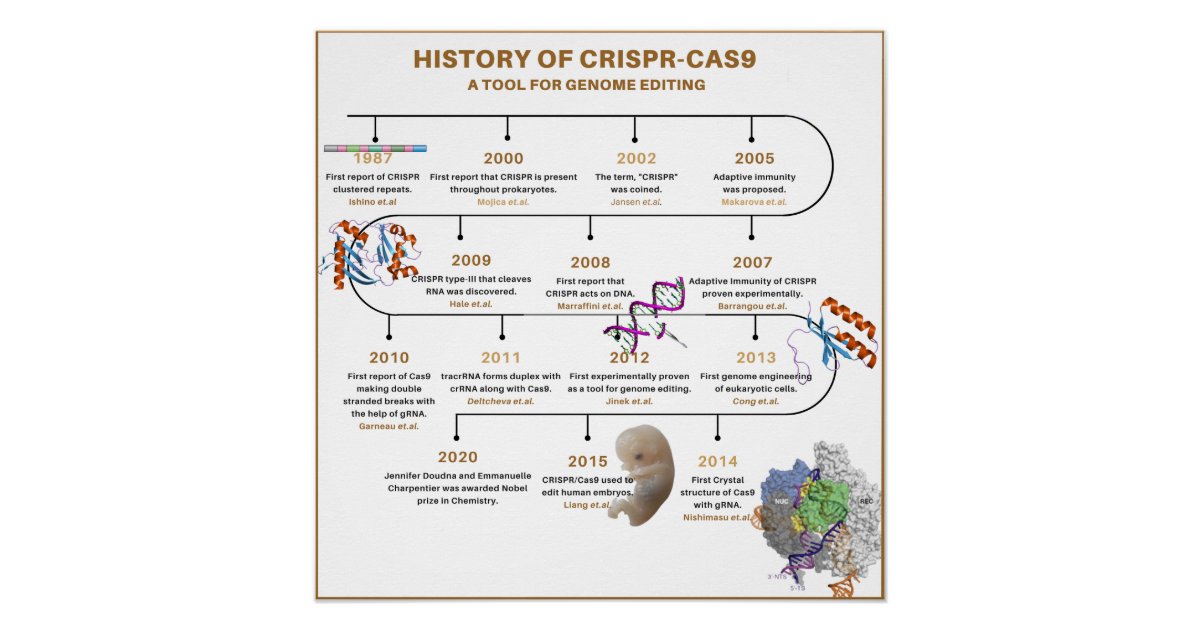 History of CRISPR genome editing timeline Poster | Zazzle
