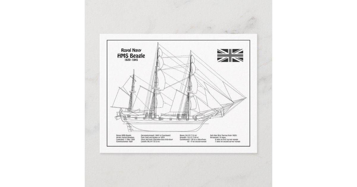 HMS Beagle Tall Ship - Ship Blueprint BD Postcard | Zazzle