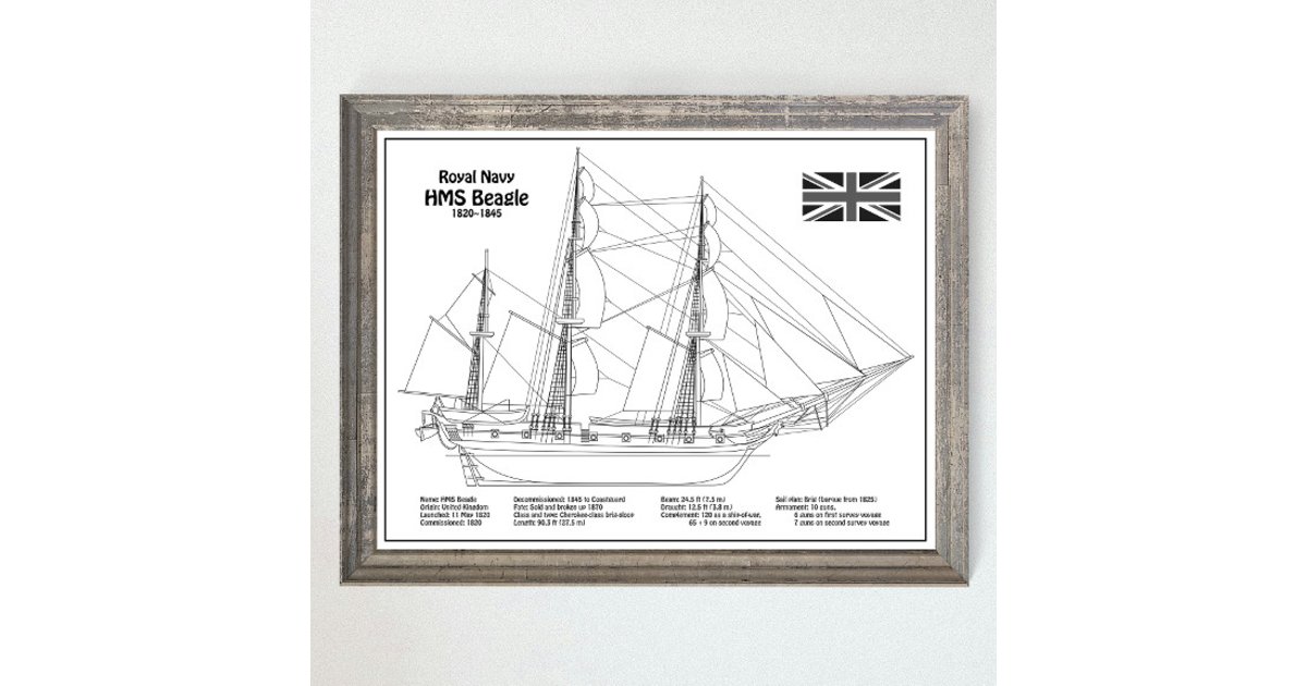 HMS Beagle Tall Ship - Ship Blueprint BD Poster | Zazzle