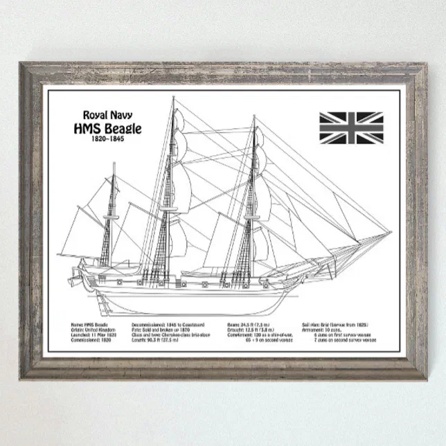 HMS Beagle Tall Ship - Ship Blueprint BD Poster | Zazzle