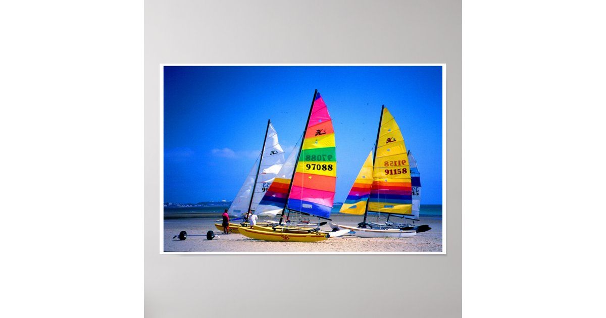 HOBIE CATS IN JERSEY POSTER | Zazzle