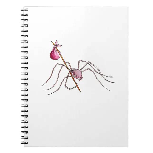 Hobo Spider notebook | Zazzle