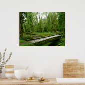 Hoh Rain Forest - Olympic National Park Poster | Zazzle