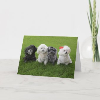 Hold On Card | Zazzle