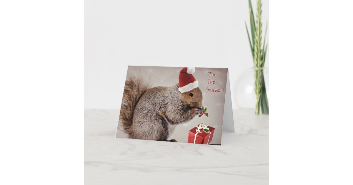 Holiday Cards for Nature Lovers | Zazzle