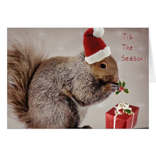Holiday Cards for Nature Lovers | Zazzle.com