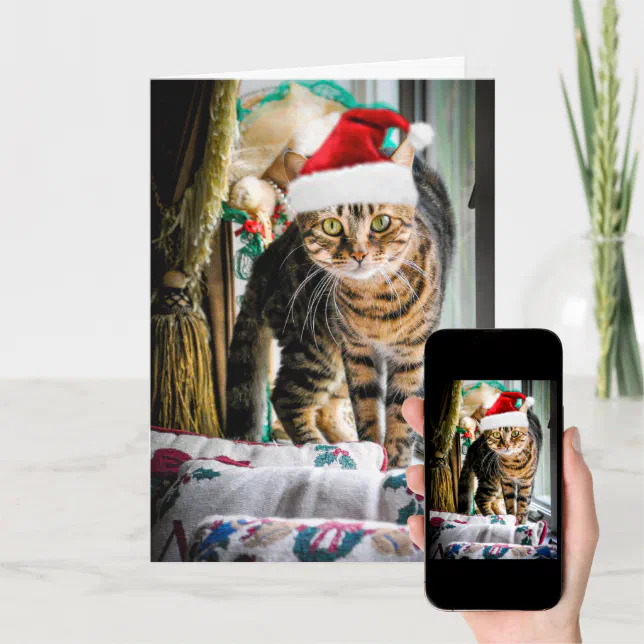Holiday Cat Greeting Card | Zazzle