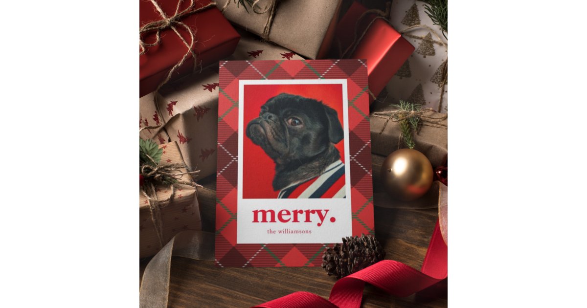 HOLIDAY PHOTO CHRISTMAS | Merry Red Plaid | Zazzle