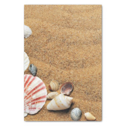 Holiday Seashells Beach Tissue Paper | Zazzle