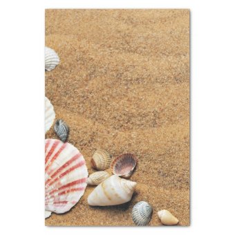 Holiday Seashells Beach Tissue Paper | Zazzle