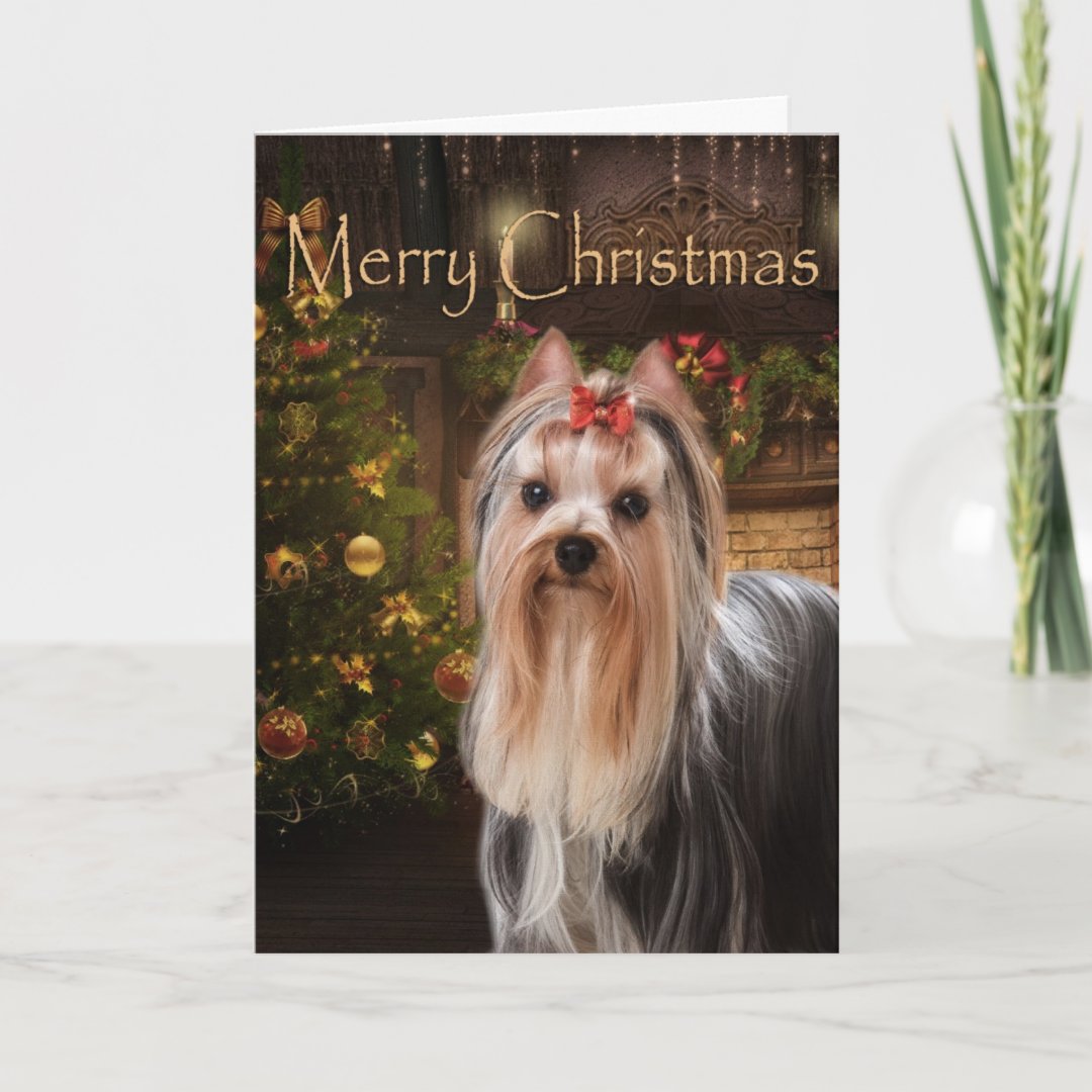 Holiday Yorkie Christmas Card | Zazzle