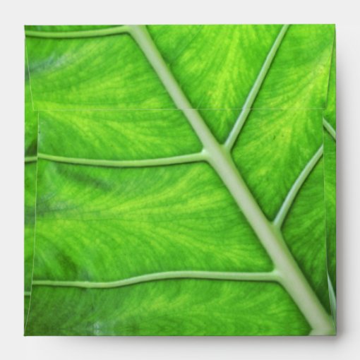 Holistic Green Tropical Leaf Texture Simple Photo Envelope | Zazzle