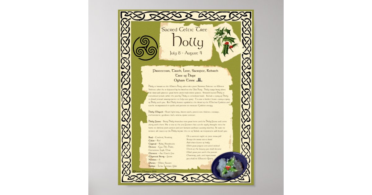 HOLLY CELTIC SACRED TREE POSTER | Zazzle