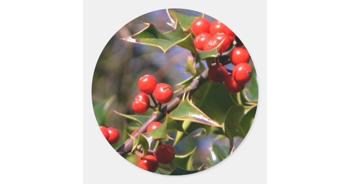 Holly Stickers | Zazzle